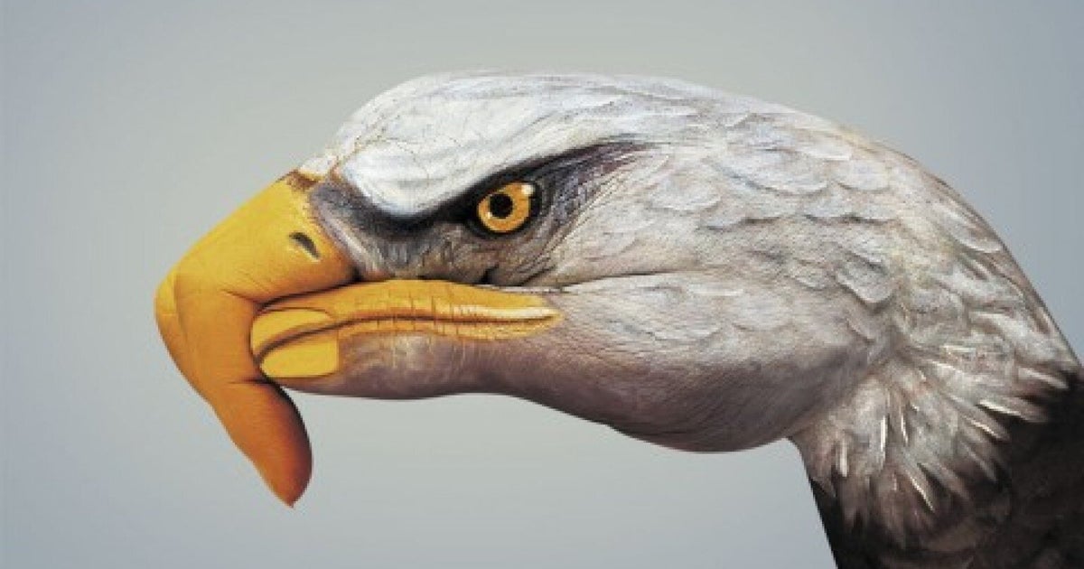 Body Artist Guido Daniele's Wild Handimals And Amazing Handscapes ...