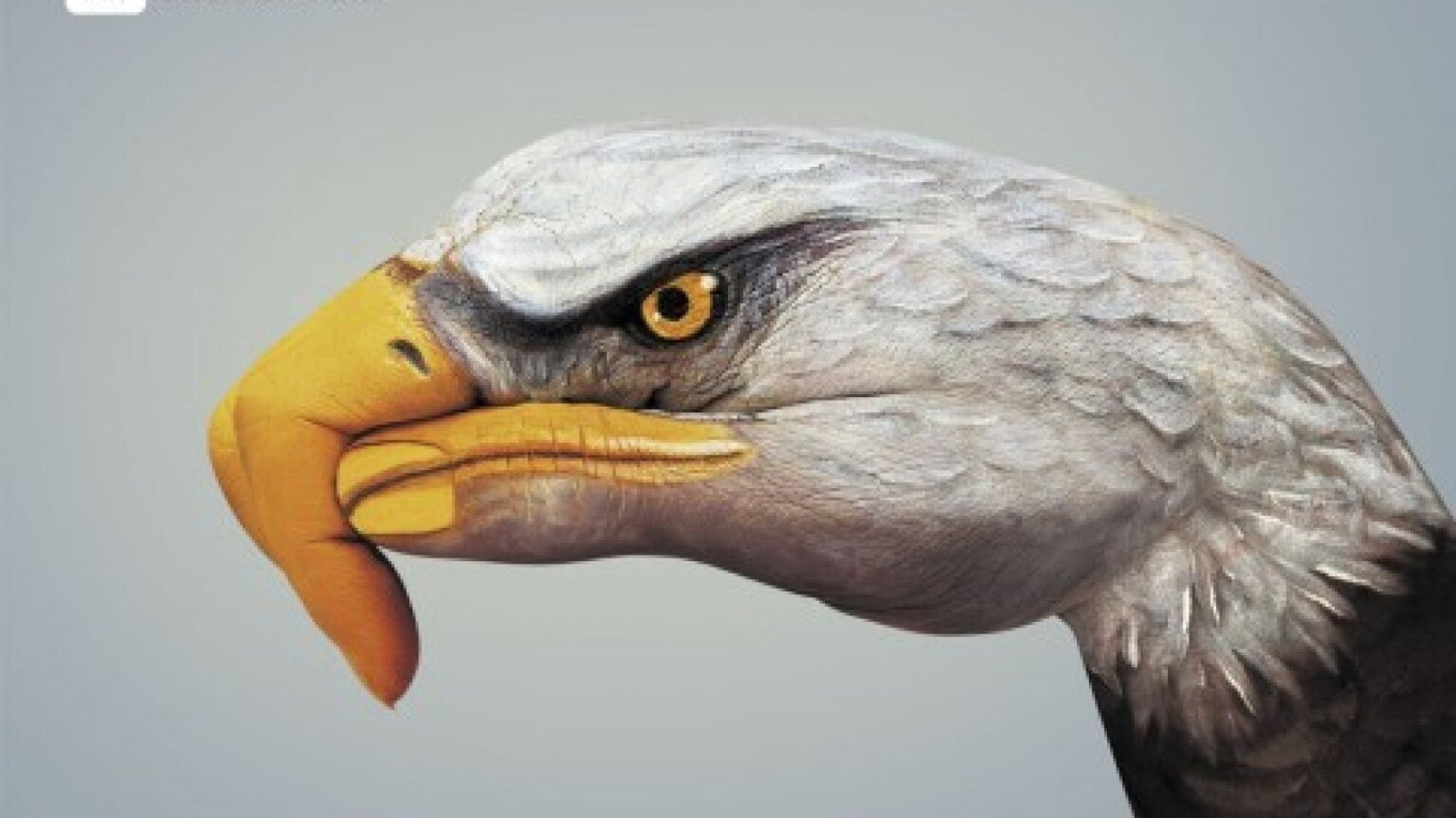 Body Artist Guido Daniele's Wild Handimals And Amazing Handscapes ...