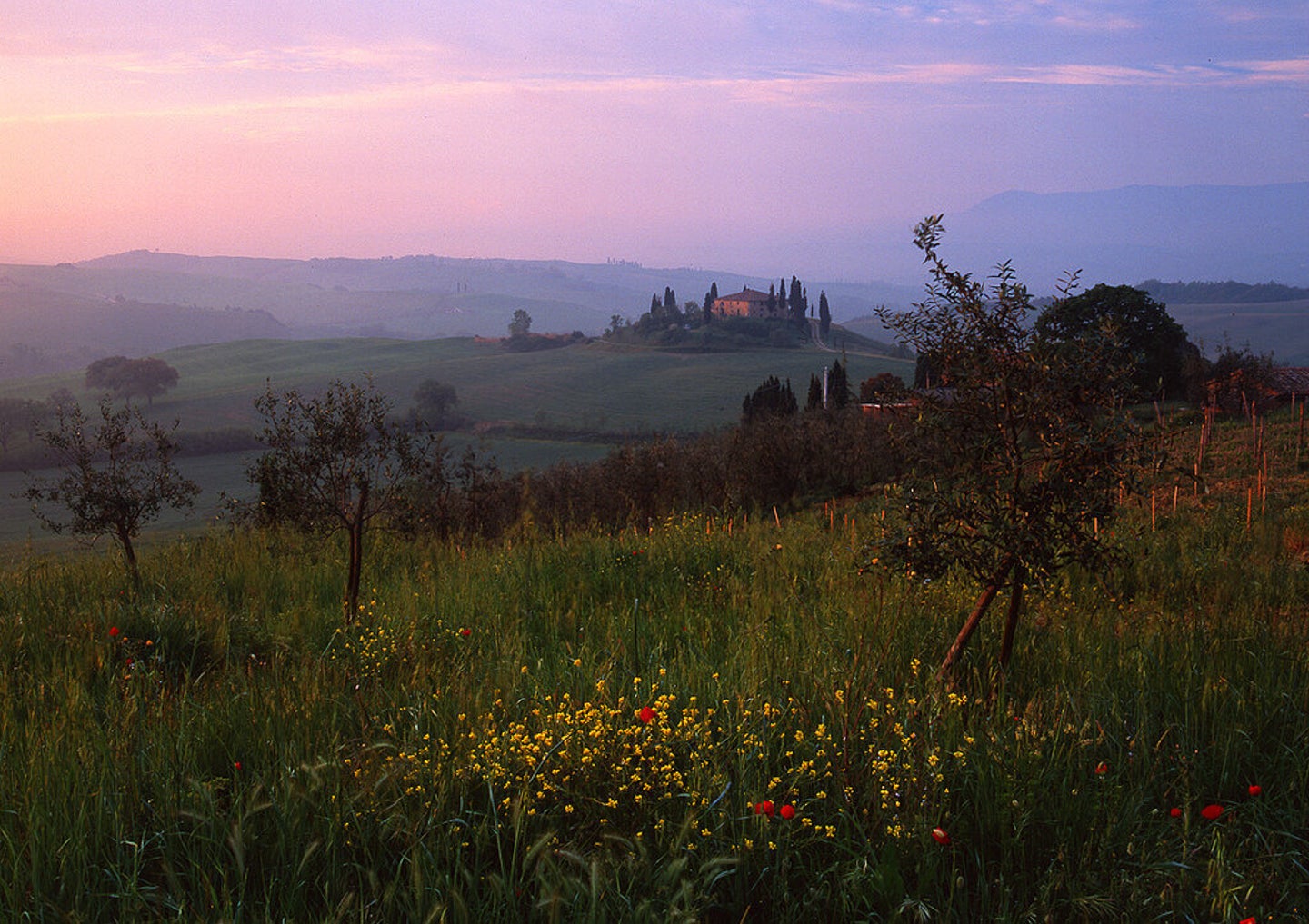 A Movie Lover's Guide to Tuscany | HuffPost UK Life