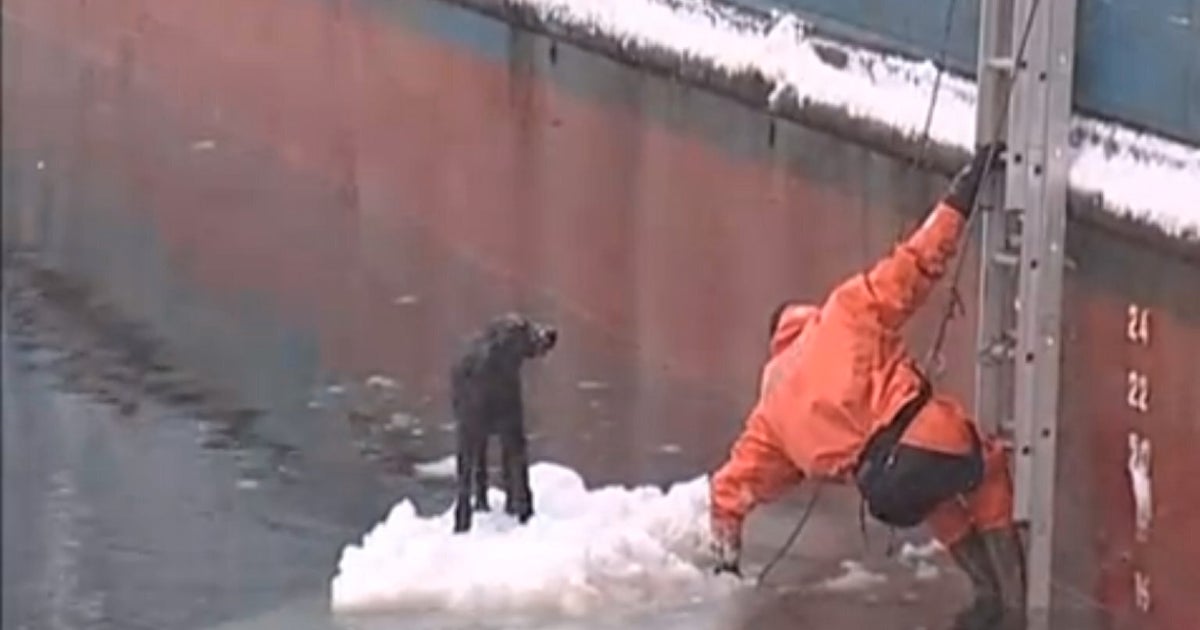 Fishermen Rescue Dog Stranded On Ice Floe (VIDEO) | HuffPost UK Comedy