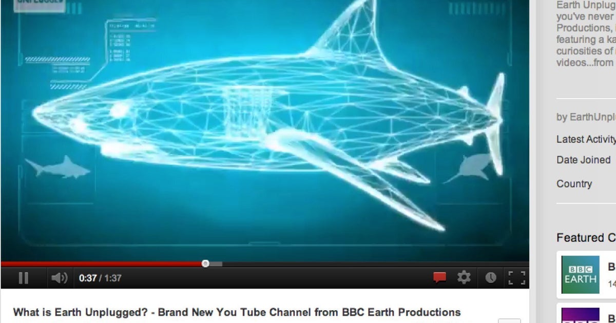 BBC Launches 'Earth Unplugged', YouTube-Only Nature Channel | HuffPost ...