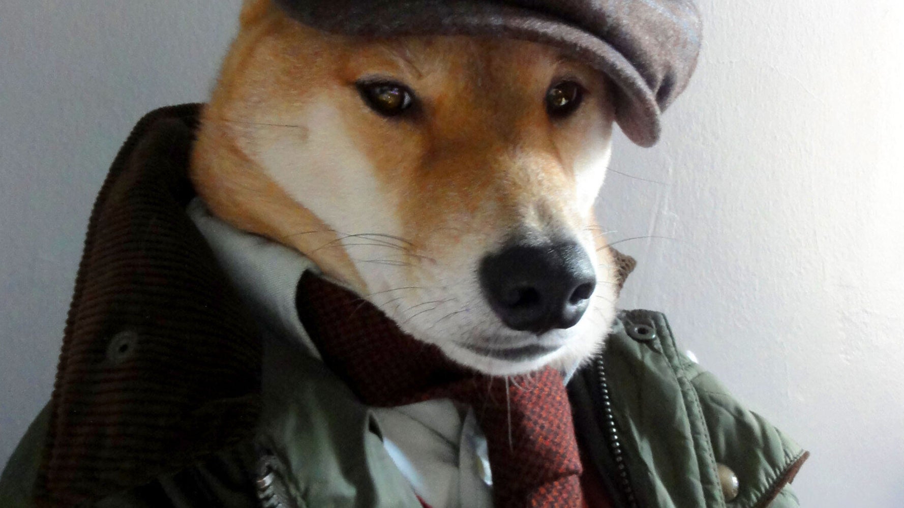 Menswear Dog Bodhi: Shiba Inu Wants You To Look As Stylish As He Does ...