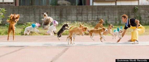 Officially Amazing: Pictures Of New Guinness World Records (PHOTOS ...