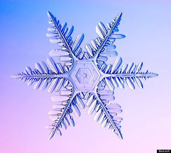 Incredible Close-Up Snowflake Photography (PICTURES) | HuffPost UK