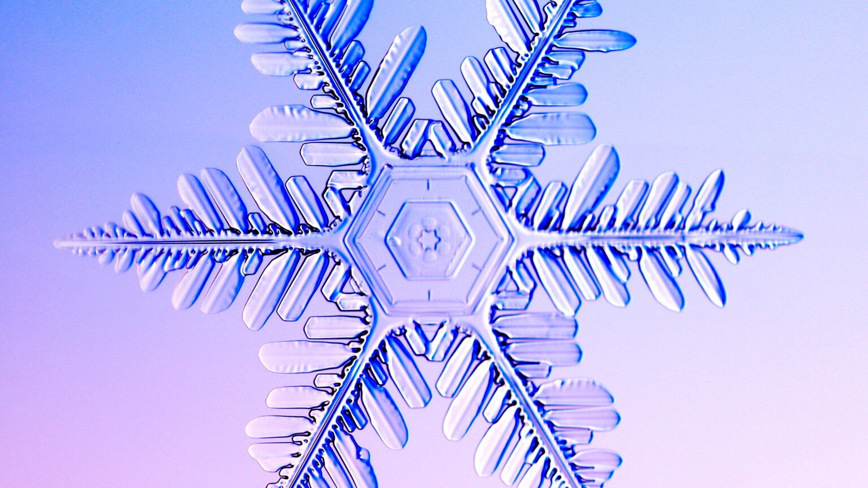 Incredible Close-Up Snowflake Photography (PICTURES) | HuffPost UK News