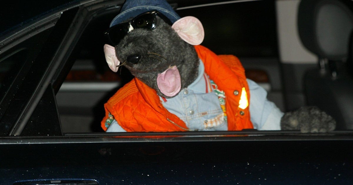 Roland Rat Turns 30 - Is Is Time For Him To Return To The 'Daybreak ...
