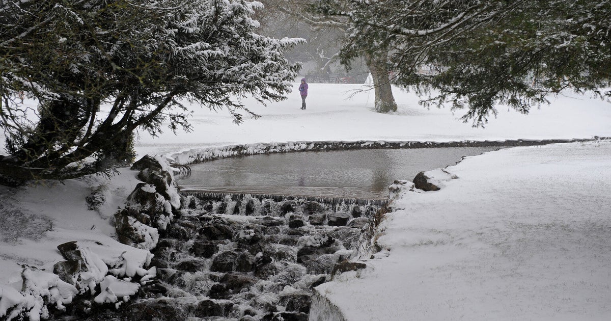 UK Weather: Coldest March 'For 50 Years' Forecasters Say (PICTURES ...
