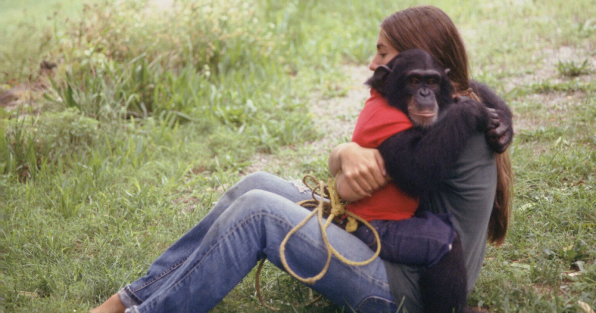 'Project Nim' Raises Questions About Nature/Nurture That Still Need ...