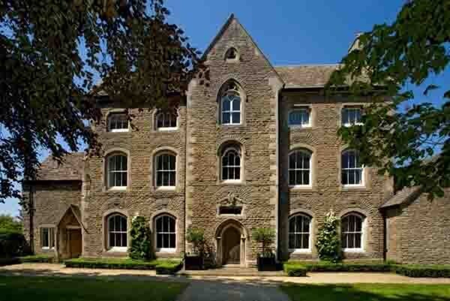 The Jungle of Contemporary Art - Martin Jenner Profile | HuffPost UK ...