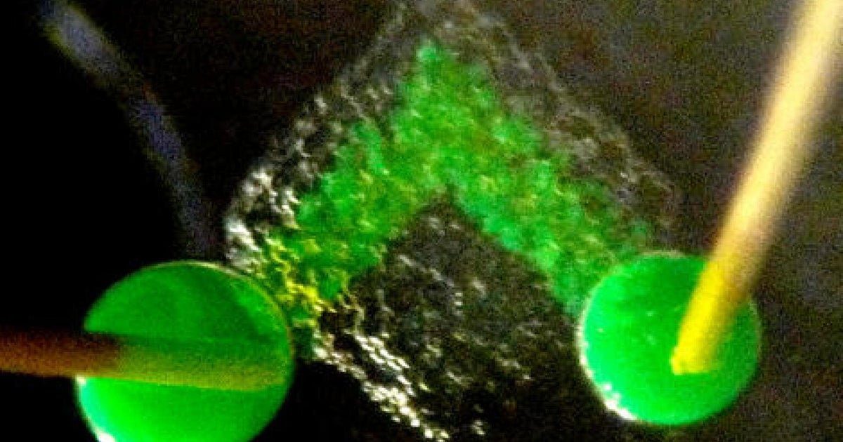 3D Printer Can Create Artificial Human Tissue, Say Oxford Scientists ...