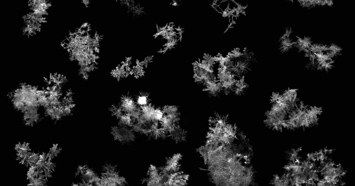 High-Speed Camera Reveals What Snow Looks Like As It Falls (PICTURES ...