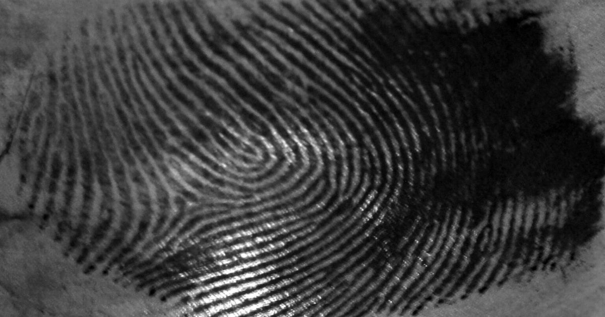 Fingerprints Can Now Be Taken From Food (PICTURES) | HuffPost UK Tech