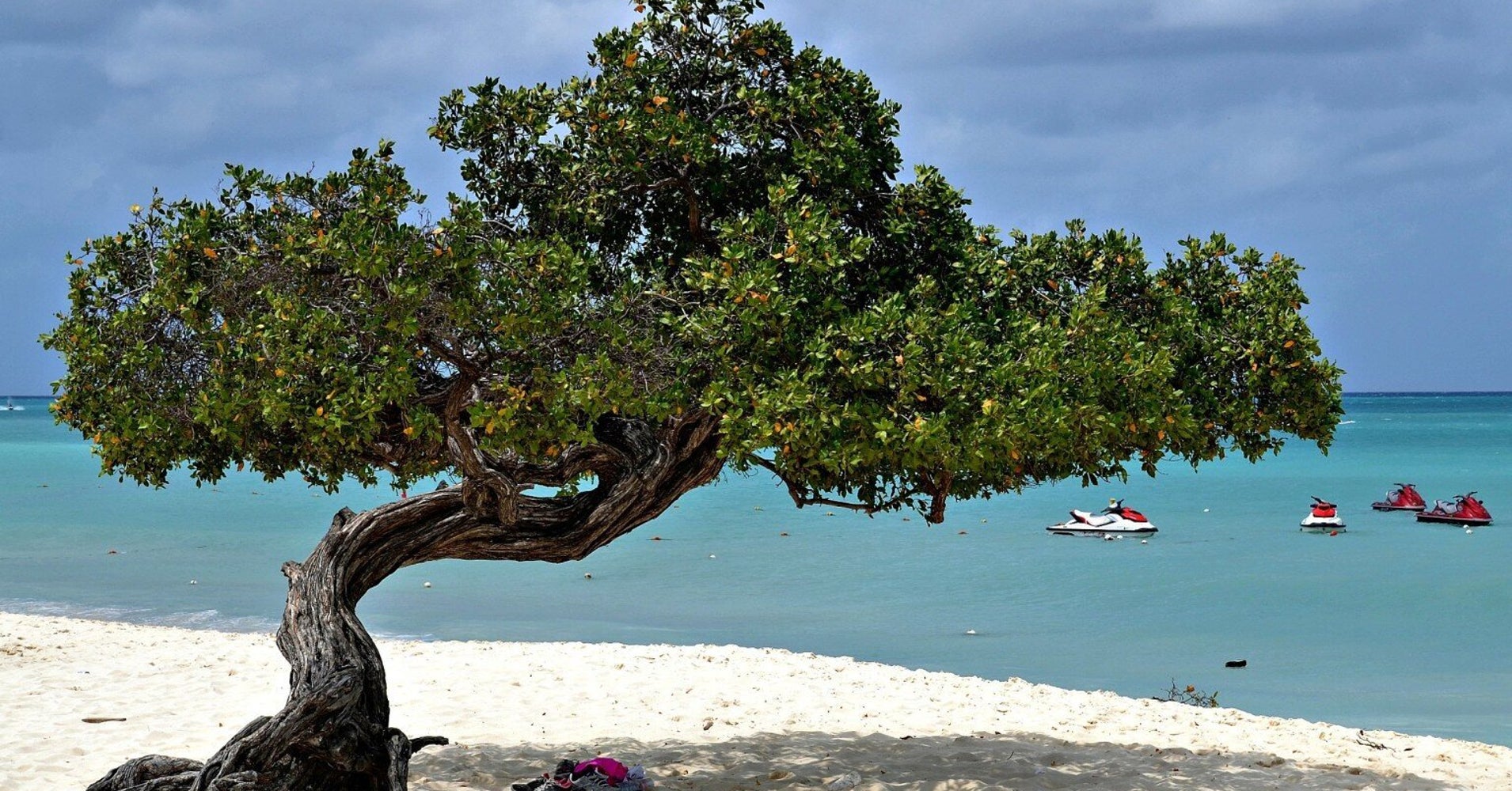 Bon Bini Aruba | HuffPost Life