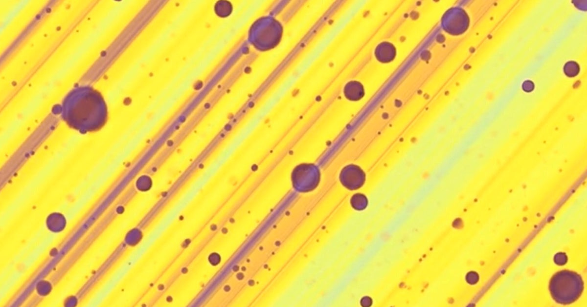 Life On Saturn Imagined In Trippy And Colourful Video | HuffPost UK Tech