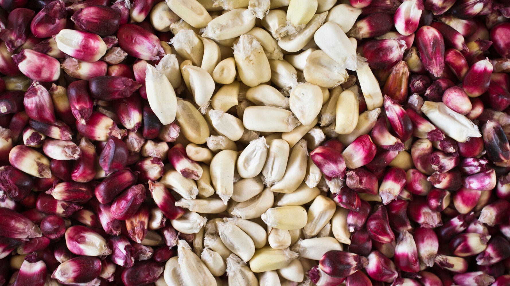 Peru's Richest Natural Resource | HuffPost UK Life