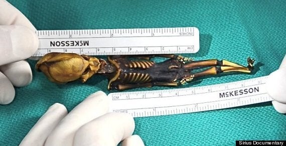 Sirius UFO Documentary To Confirm Origin Of Six-Inch 'Space Alien ...