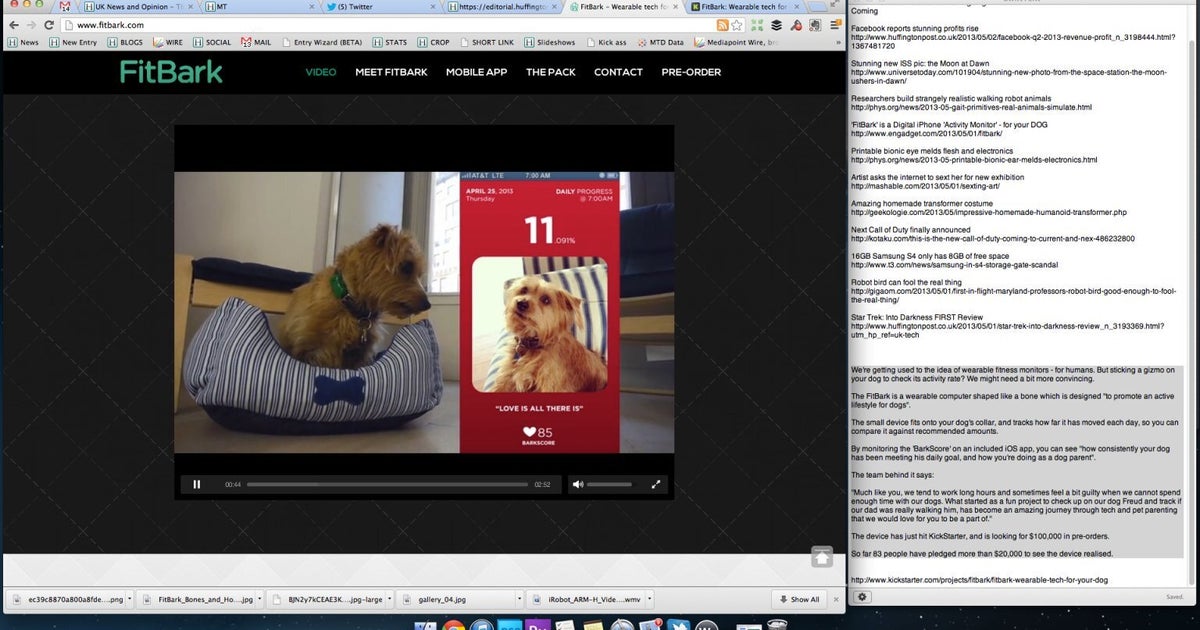 FitBark: Activity Monitor For Your Pet Dog Hits Kickstarter (VIDEO ...