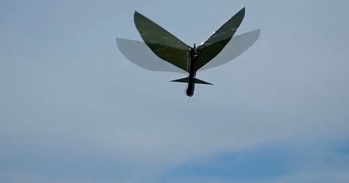 'Robo Raven' Is So Realistic It Got Attacked By A Real Hawk (VIDEO ...