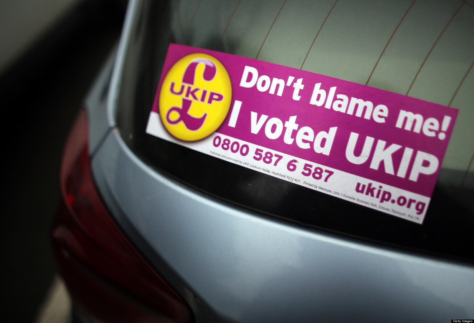 ukip member