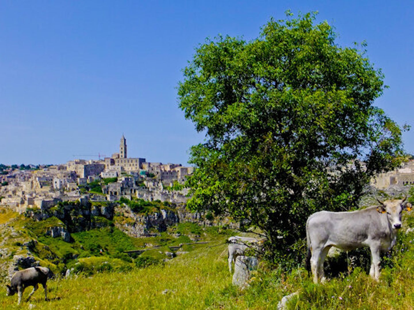 Planet Appetite: The Riches of Basilicata, Italy - the Land That Time ...