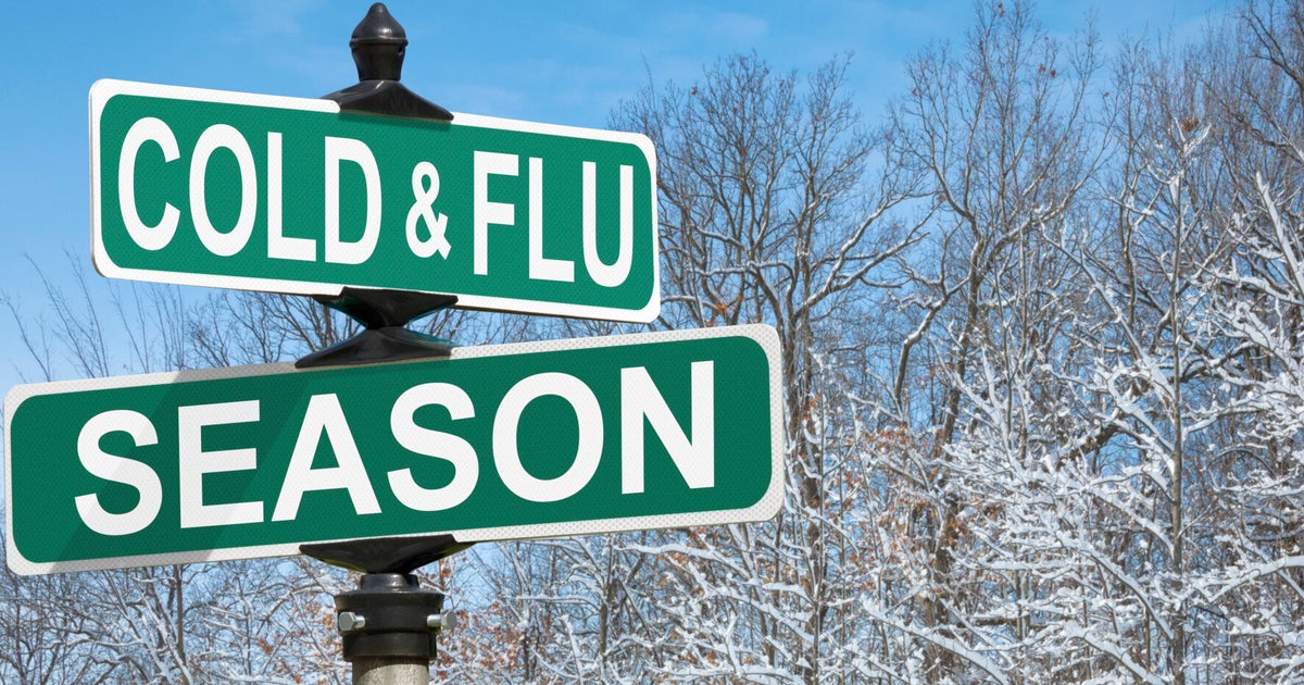 Is It A Common Cold Or Bad Bout Of The Flu? Spot The Signs And Know The ...