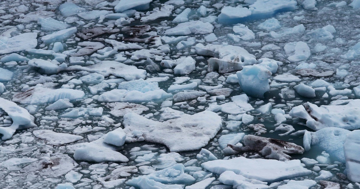 Bold Action Needed To Save Our 'Blue Planet' From The Effects Of ...