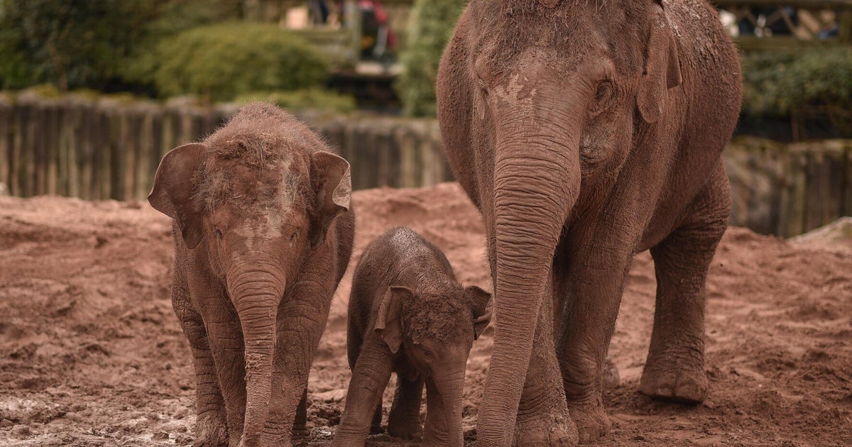 The Secret Life Of The Zoo Keeper | HuffPost UK News