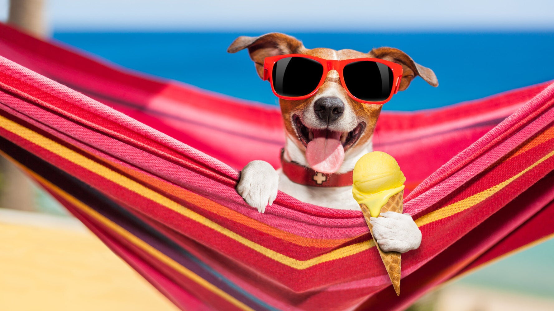 The Summer Holidays Are Here: How To Take Great Holiday Photos ...