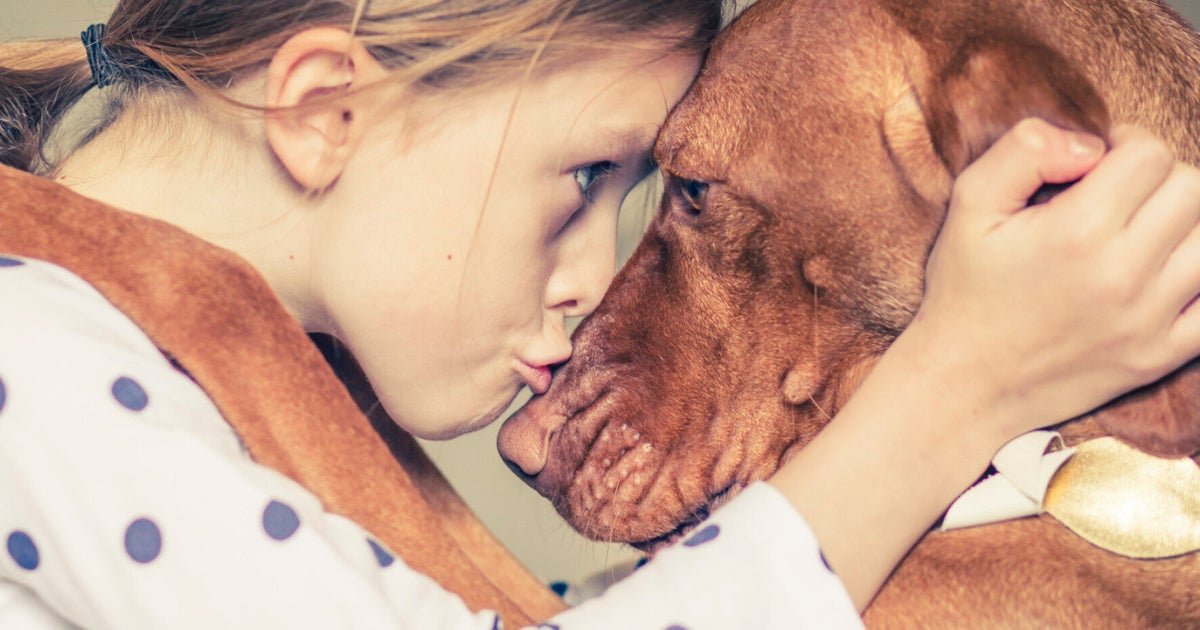 Dog Reincarnation: Has My Pooch Lived Before? | HuffPost UK Life
