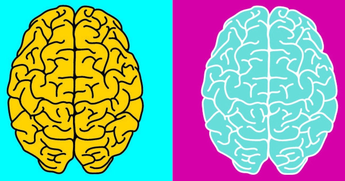 Celebrating The Diversity Of Human Brains In The Workplace | HuffPost ...
