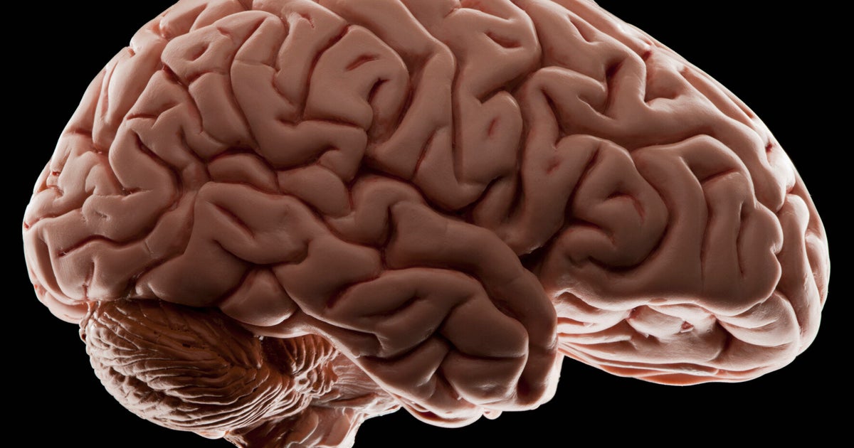 A Human Operating System - Unlocking Optimal Health And Happiness ...