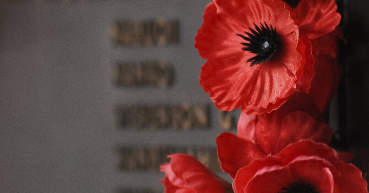 My Poppy Is Political, Get Over It! | HuffPost UK Politics