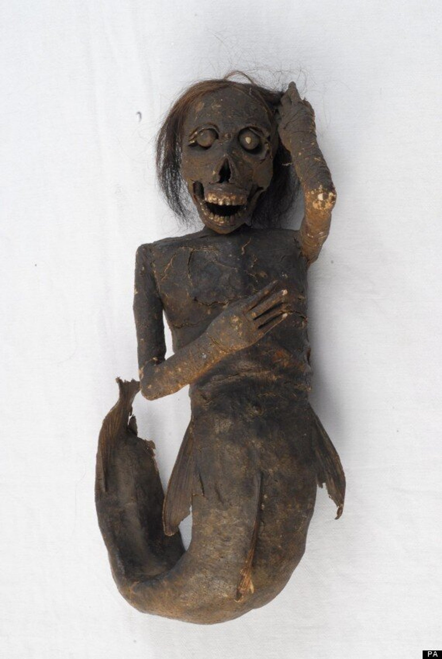 Mummified Mermaid To Be Reunited With Her Merman | HuffPost UK News
