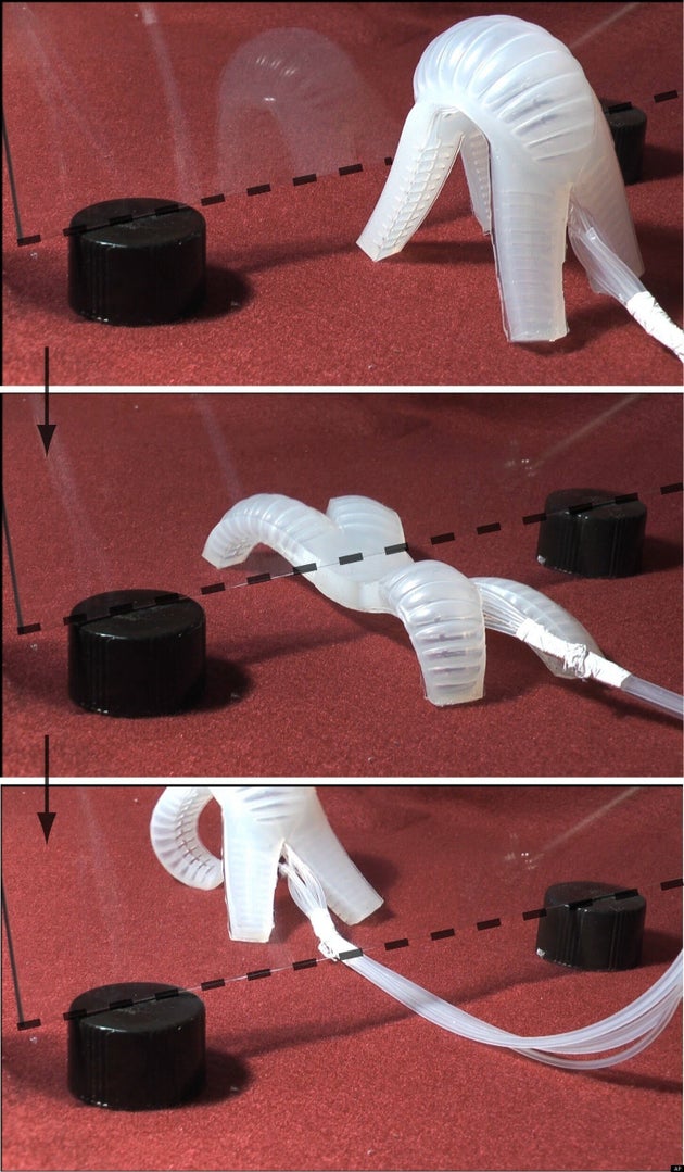 Limbo Robot Could Help Rescue Earthquake Victims With Flexible Body ...