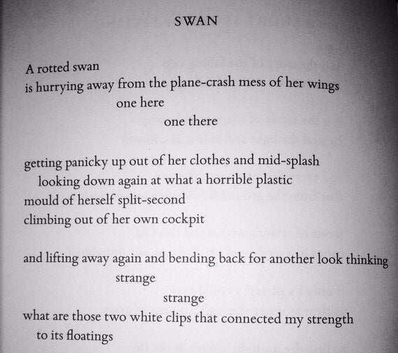 Review: Alice Oswald - Falling Awake | HuffPost UK