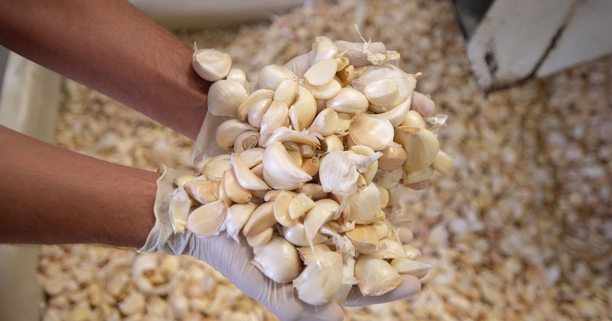 This Garlic-Peeling Hack Is Taking Over The Internet. Does It Work ...