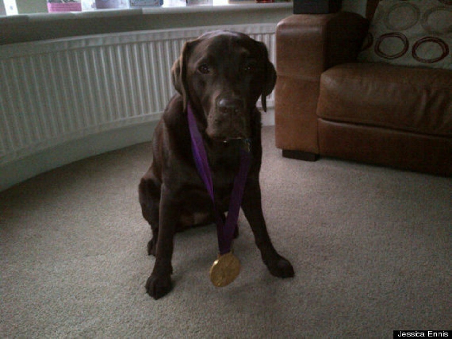 Jessica Ennis' Dog Wears London 2012 Olympics Gold Medal | HuffPost UK ...