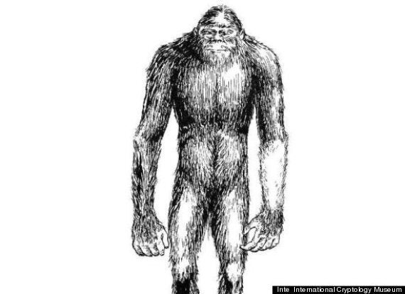 Three Yeti Sightings Reported In Siberia Ahead Of 'Abominable Snowman ...