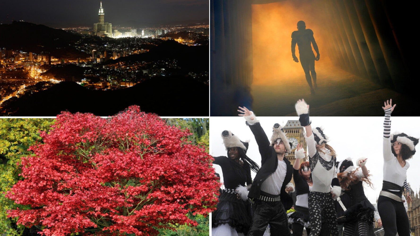 Pictures Of The Day Live:22nd October 2012 | HuffPost UK News