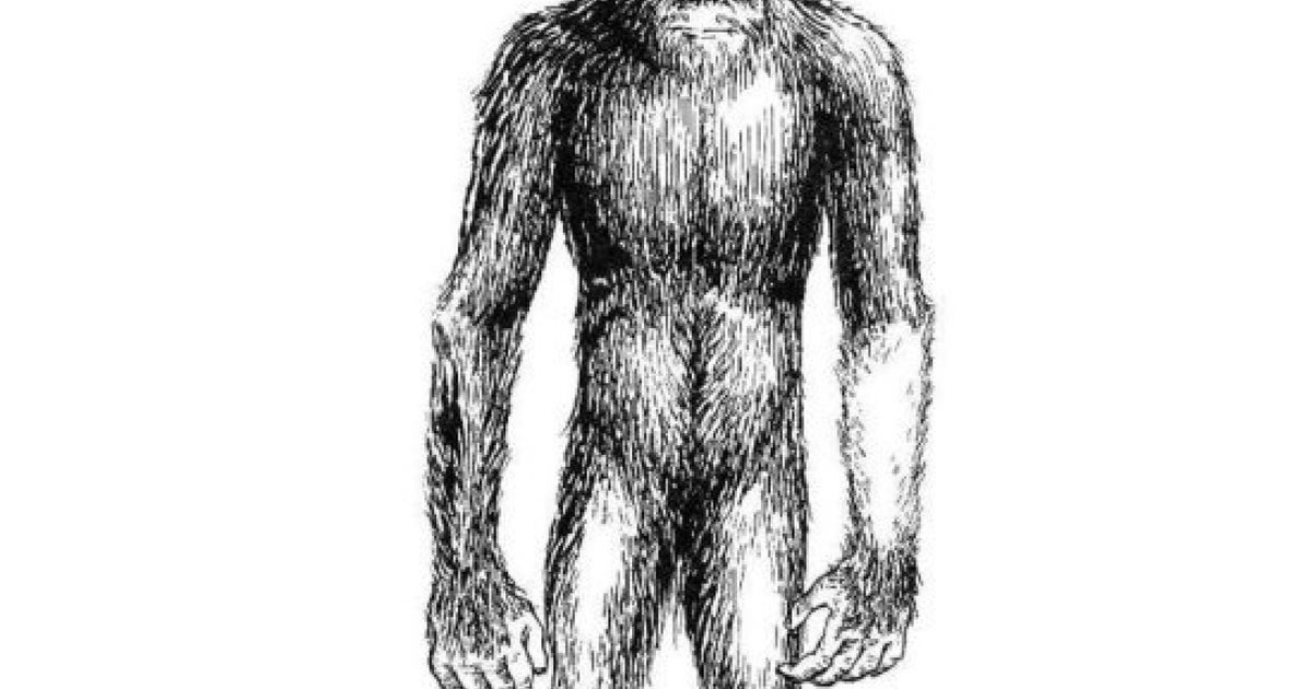 Yeti Hunt: DNA Tests On Mystery Hairs Reveal They Are From 'An Unknown ...
