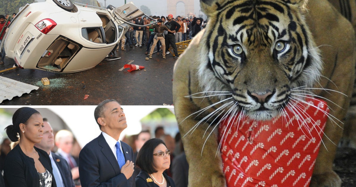 Pictures Of The Day Live: 24th December 2012 | HuffPost UK News