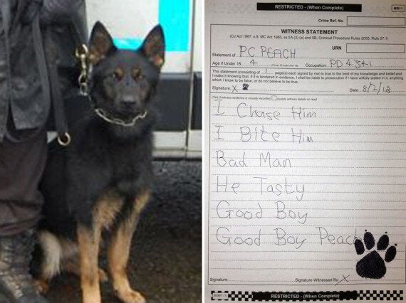 West Midlands Police Under Investigation After Witness Statement By ...