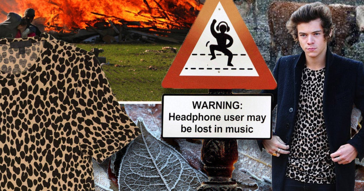 Pictures, Videos And Gifs Of The Day: Wednesday 20th November 2013 ...