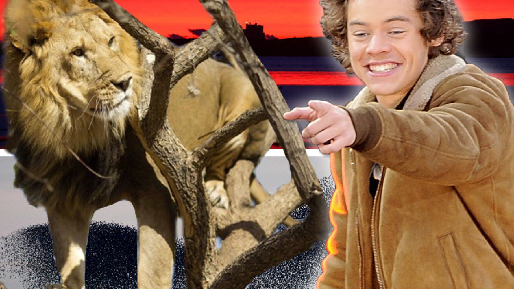 Pictures, Videos And Gifs Of The Day: Wednesday 27th November 2013 ...