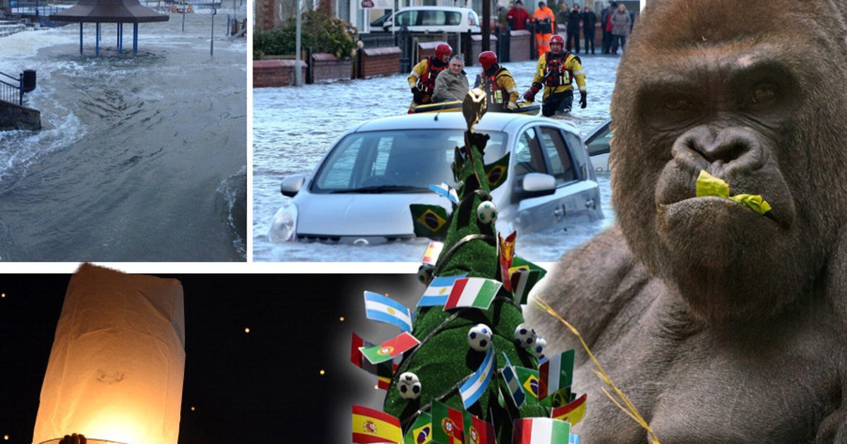 Pictures, Videos And Gifs Of The Day: Friday 6th December 2013 ...