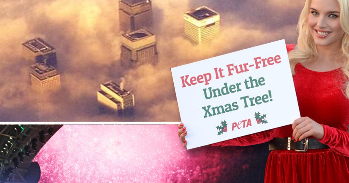 Pictures, Videos And Gifs Of The Day: Thursday 12th December 2013 ...