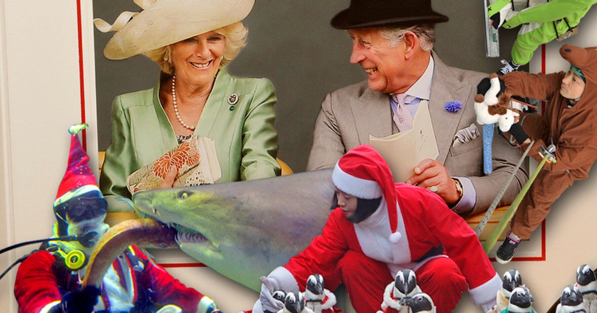 Pictures, Videos And Gifs Of The Day: Thursday 19th December 2013 ...