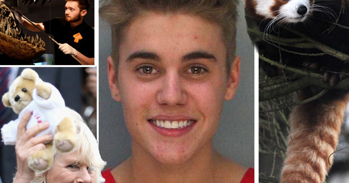 News Pictures Of The Day: Friday 24th January 2014 | HuffPost UK News