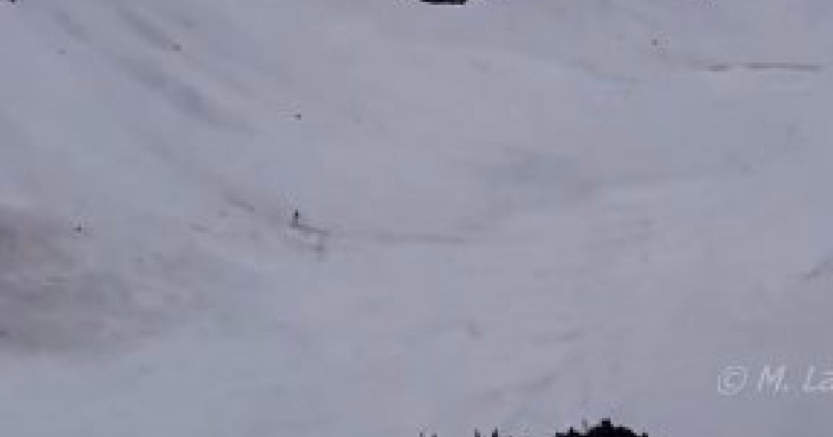 Sasquatch Spotted In Canada's British Columbia Mountains? (VIDEO ...