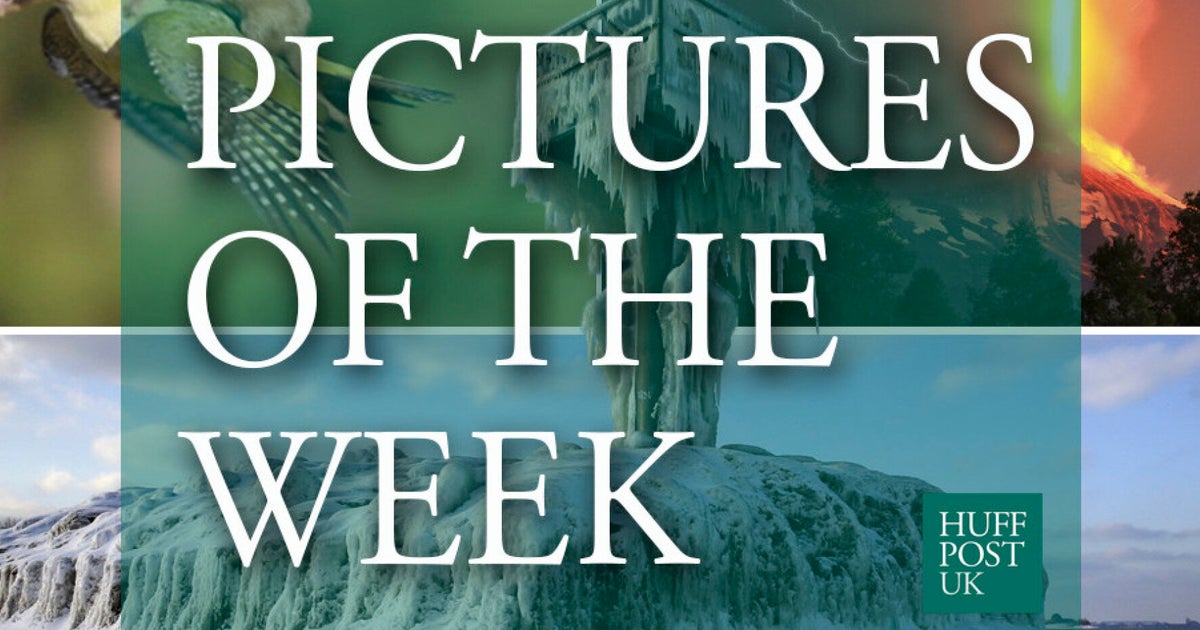 The Best Images From Around The World: Here's Our Pictures Of The Week ...